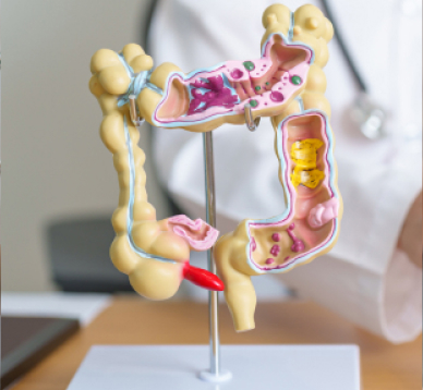 Capsule Endoscopy | Gastrointestinal Associates, LLC | Overland Park KS.